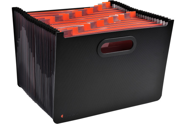 EXACOMPTA Fächermappe Exadesk Exactive 58934E 24 Fächer A4 ...